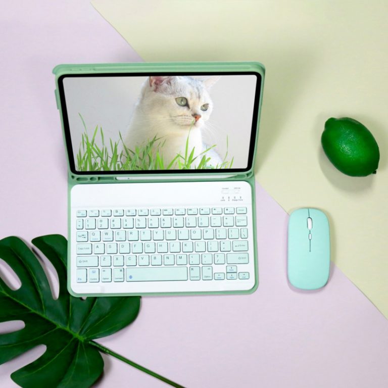 New Magic iPad Case with Wireless Keyboard for iPad Pro 11, iPad Air 2 ...